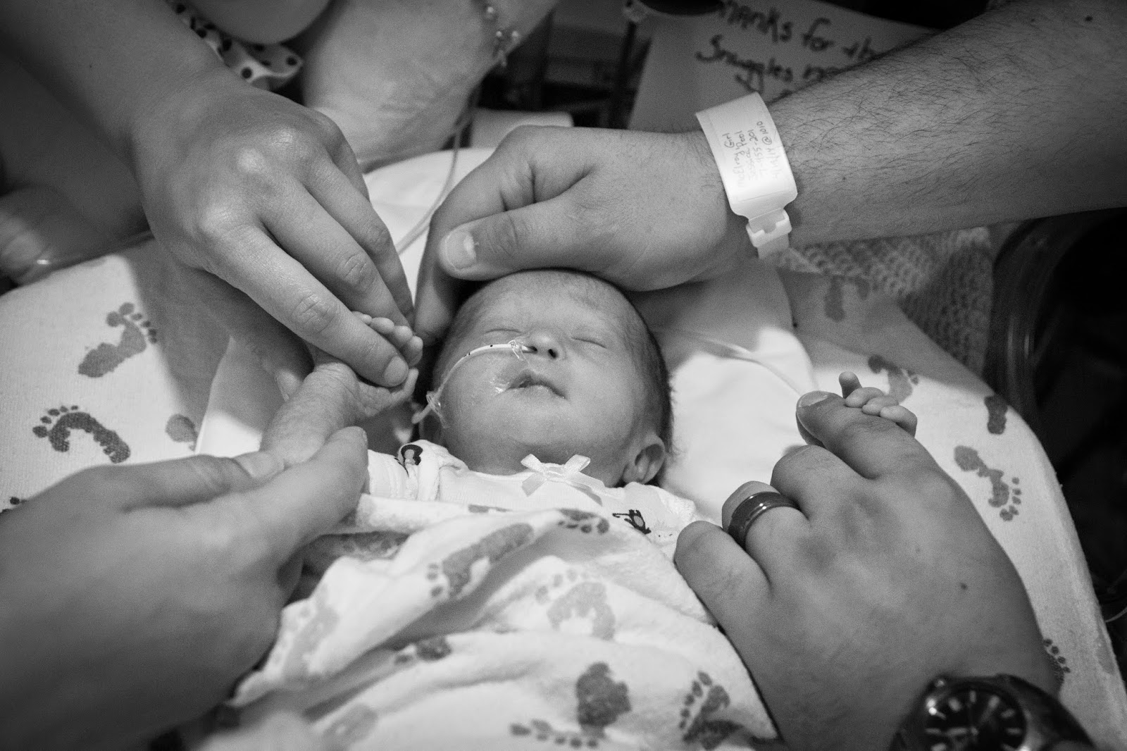 Cherishing Elise: Carrying and Loving Our Trisomy 18 Baby: Photos from ...