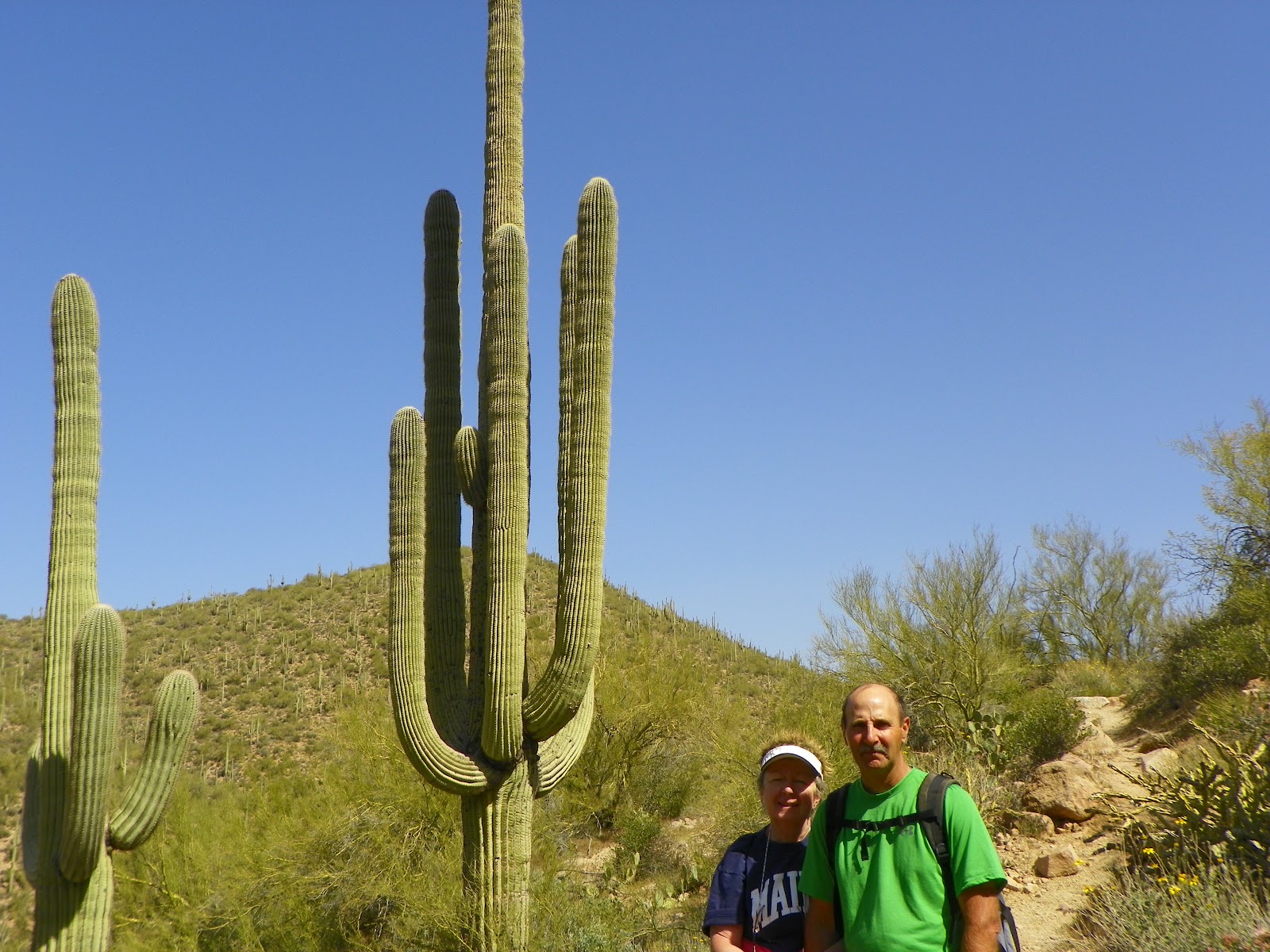 ON THE ROAD: Rock Shadows RV Park-Apache Junction,AZ
