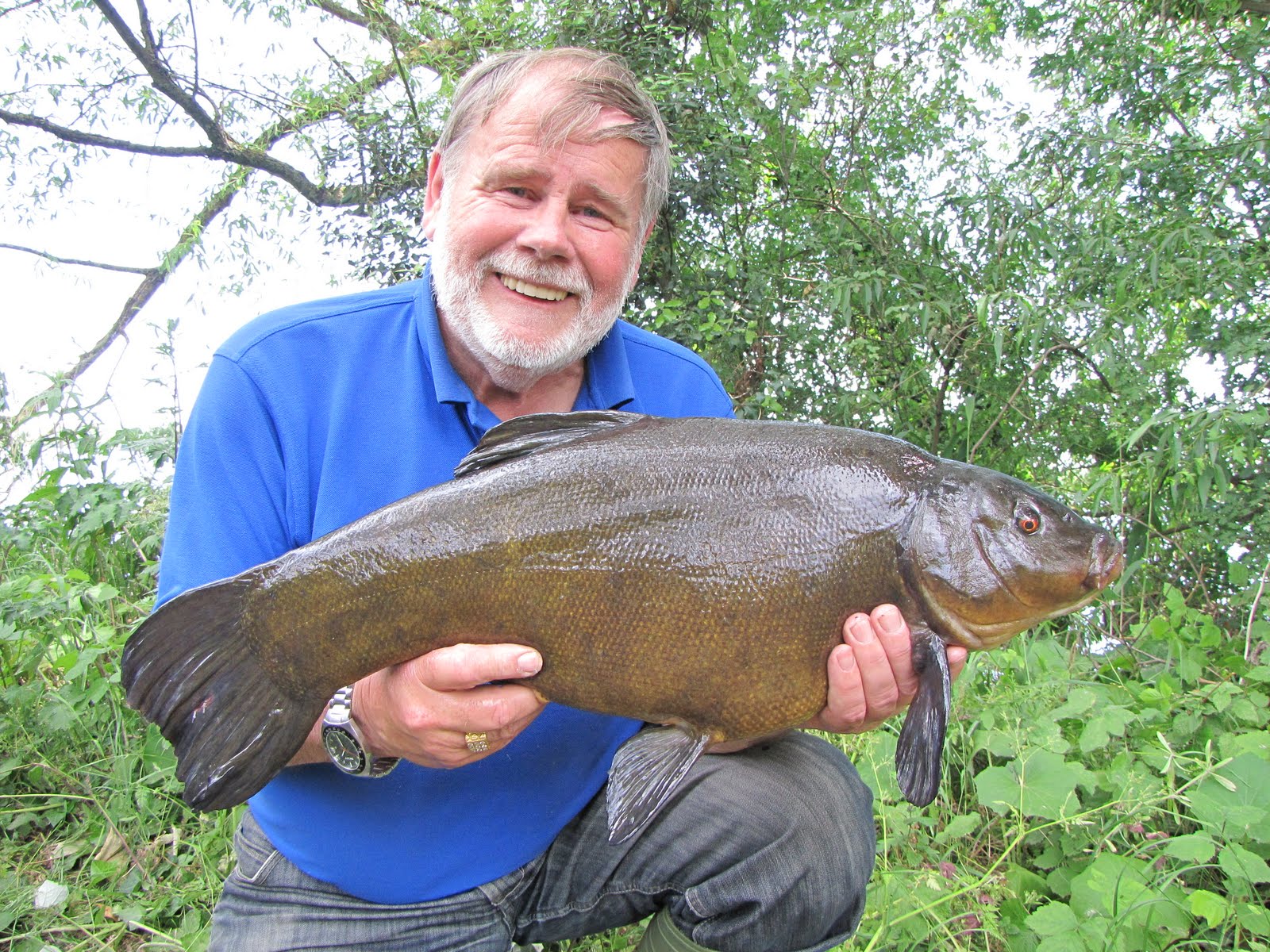 Travelling Man: Tench surprise.