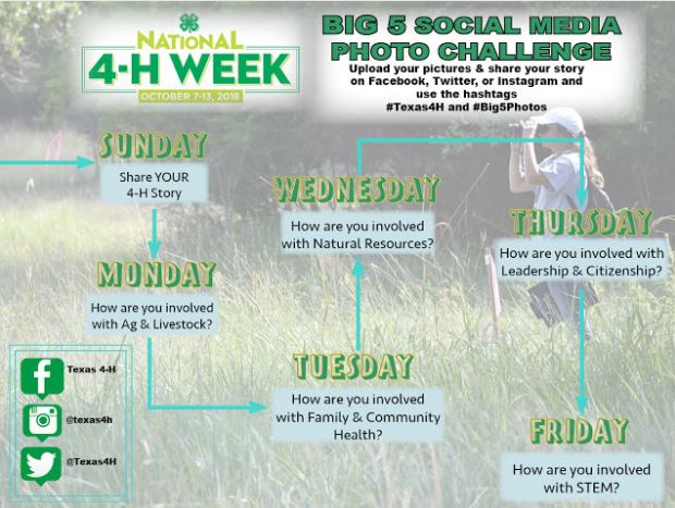 Kaufman County 4-H News: 2018