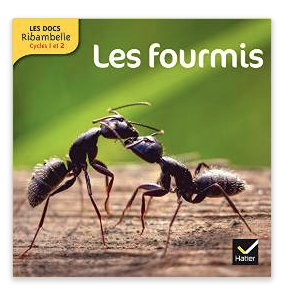 Sur le chemin de l'école: Les fourmis