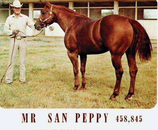 Cavalos que fizeram História: Mr San Peppy - 1968