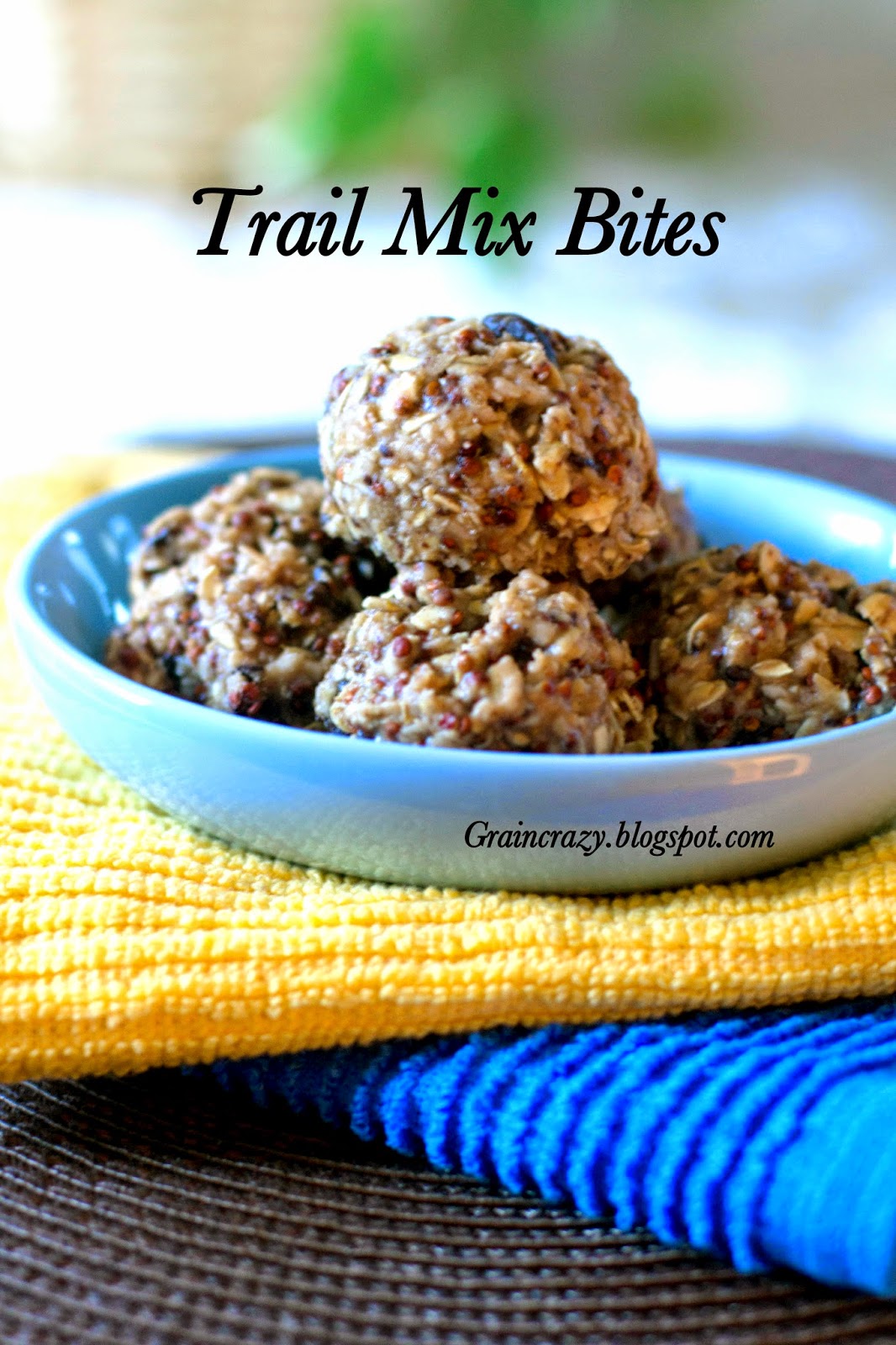 Grain Crazy: Trail Mix Bites (Protein)