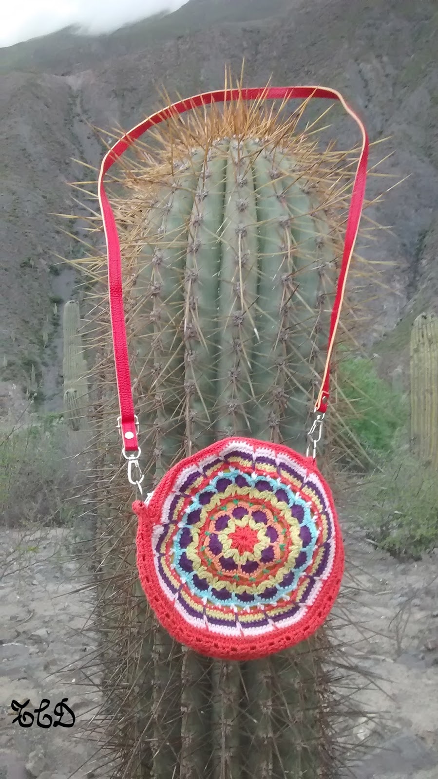Tejidos Claudany: Cartera redonda a crochet