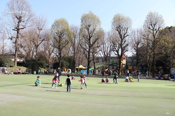 Hawaii Mom Blog: Visit Tokyo: Niko Niko Park