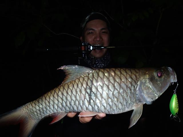 Ima Singapore: Our Catches on Ima Tetra