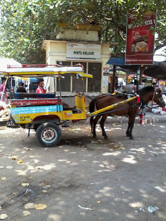 Transportasi tradisional Lombok : Cidomo ~ TENTANG LOMBOK