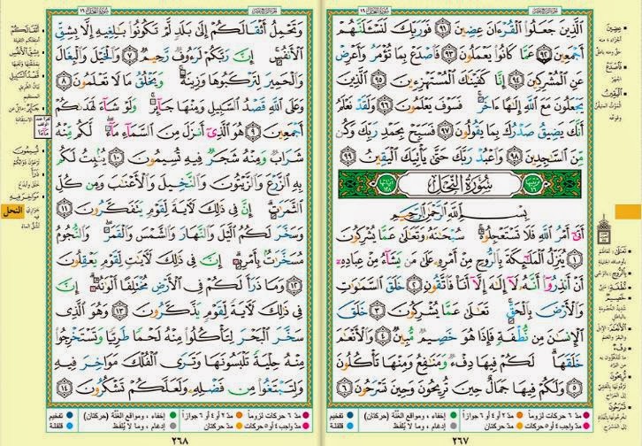 صور صفحات القرآن - Pages of the Quran: 241-270