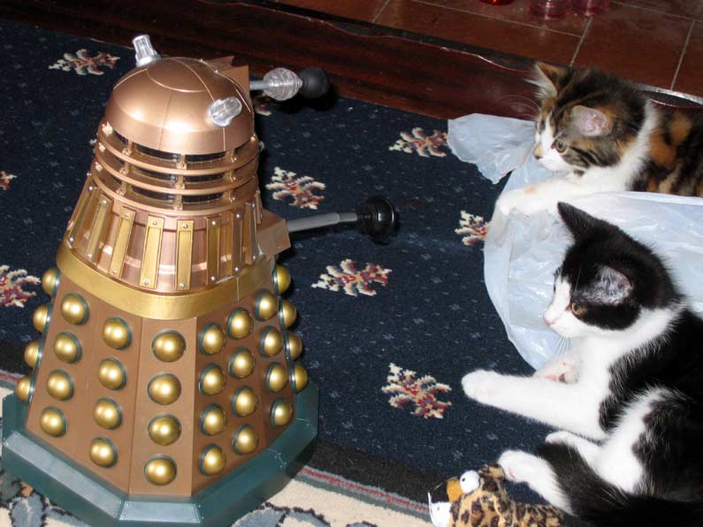 The Operacats: While we wait for (Doctor Who) Christmas!