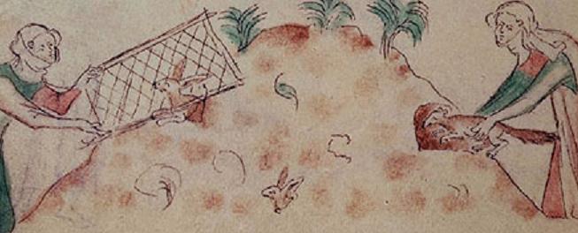 The Pet Museum: the lives times art and history of our pets: a useful ...