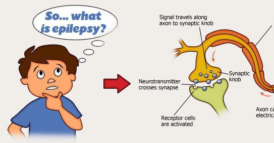 Epilepsy: First Aid and Handling - First Aid