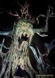 Ghost Hunting Theories: Creepy Trees