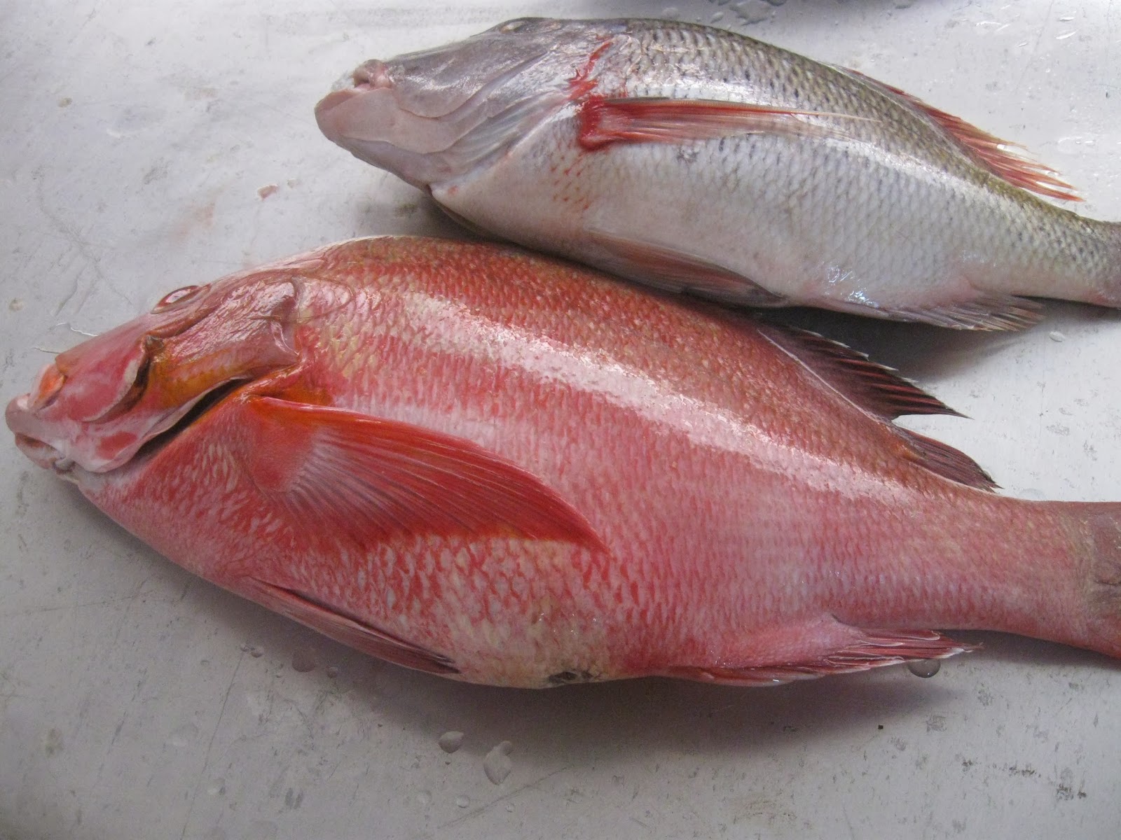 Kariakoo Market Corporation: SAMAKI WABICHI WANAPATIKAN SOKONI KARIAKOO