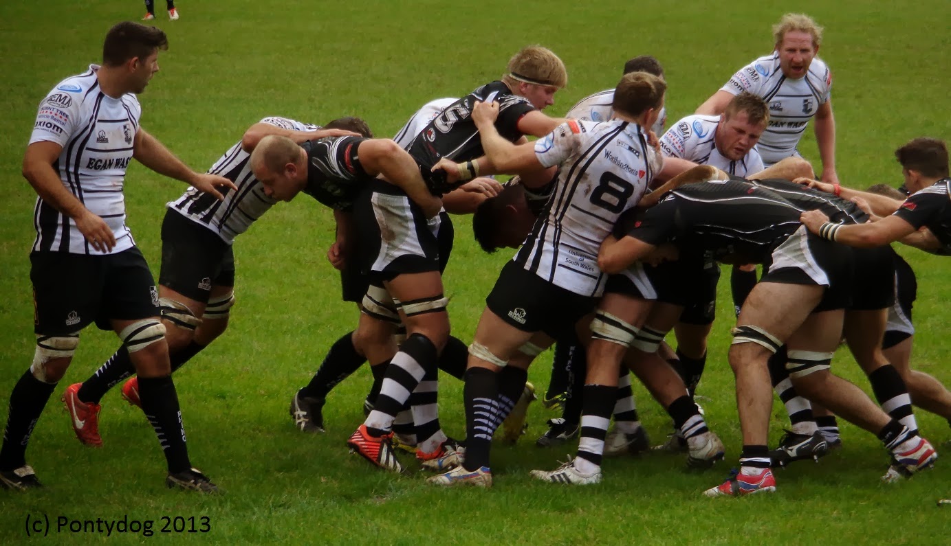 Pontypridd RFC Blog: Game 5 - Pontypridd v Bedwas