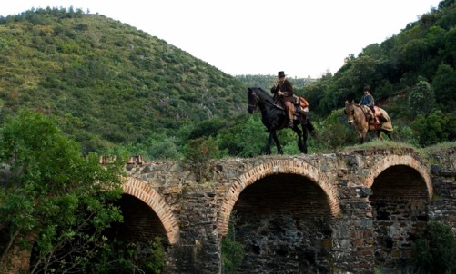 Entrelobos - Gerardo Olivares