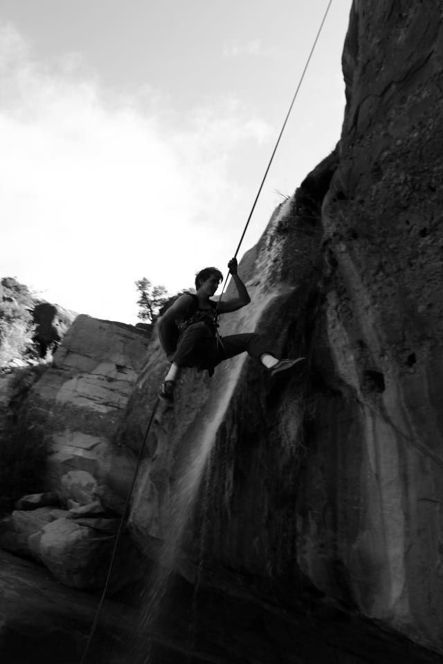 Expedition Ivy: Falling Down a Cliff Gracefully