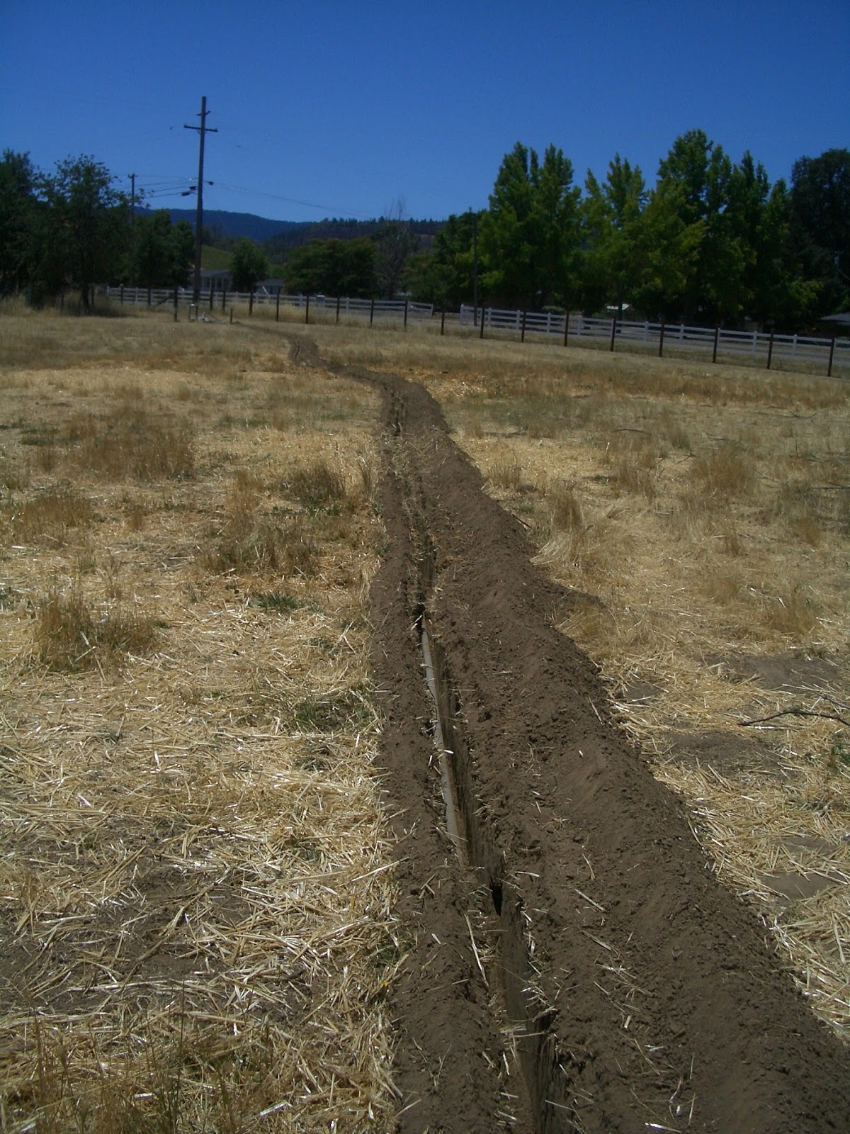 Utterly Blessed Farm Blog: The Great Trenching Project
