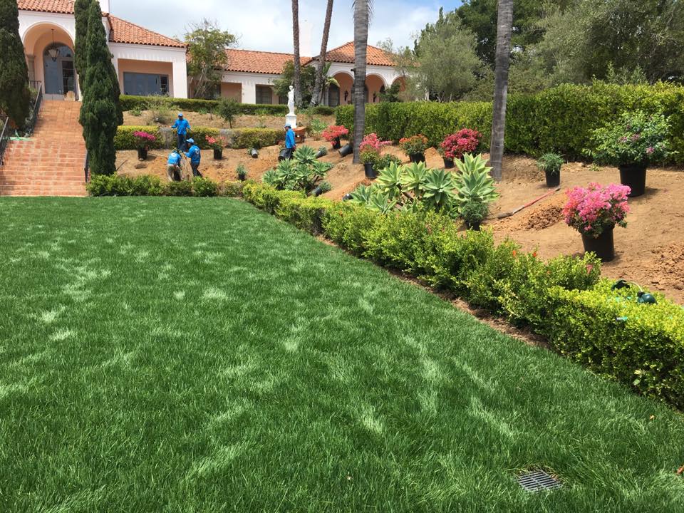 Lawn Care in Santa Barbara 2016