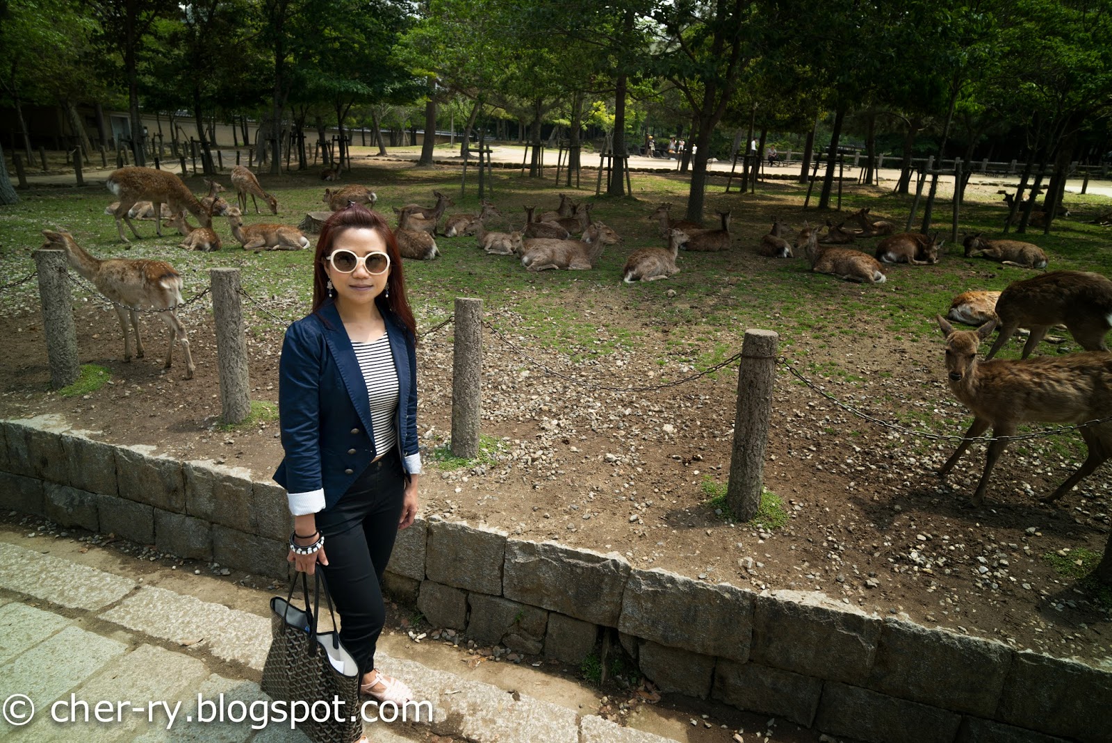 Life of a Lil Notti Monkey: Nara, Nara