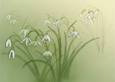 Drawing and Illusion: The Secret History of Snowdrops part 1