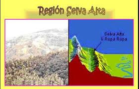 REGIÓN RUPA RUPA O SELVA ALTA ~ MARIA ELENA CANAHUIRI SAMADOR