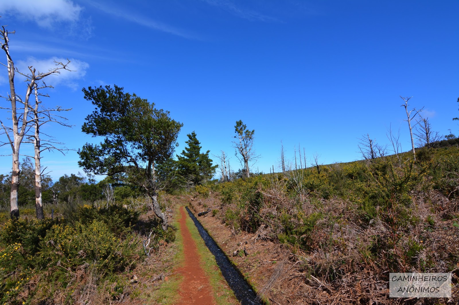 Caminheiros Anónimos Levadas da Madeira : Levada Grande (Achadas da Cruz)