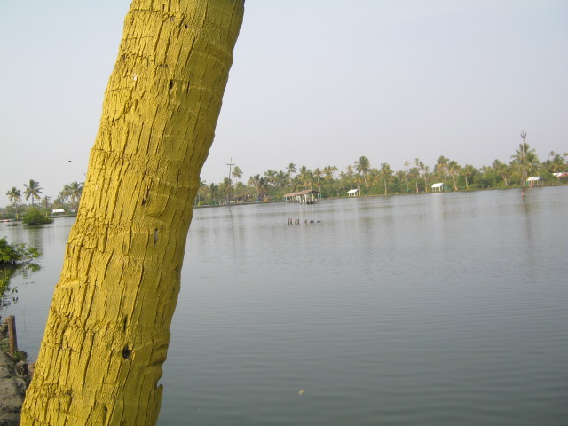 YAATHRA യാത്ര: Matsyafed Fish Farm, Narakkal,Ernakulam,Kerala