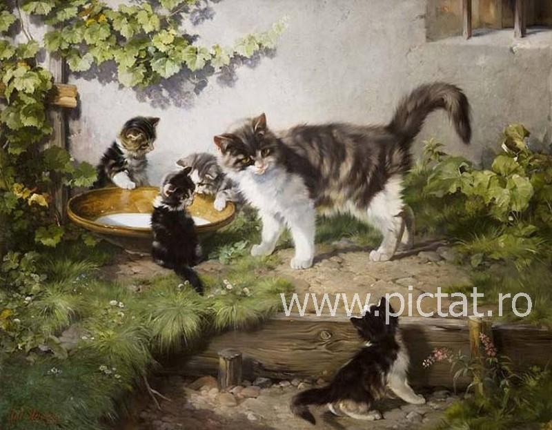 Imagini comice cu animale: Tari Artistice Si Galerie Foto Frumoase Fete ...