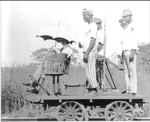 MazReal: The Art Of Staying Cool and the Role of the Useful Punkah Wallah