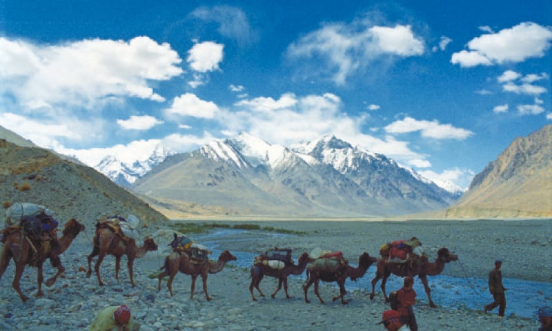 Salman Rashid: The K2 Man (And his Molluscs): The Extraordinary Life of ...