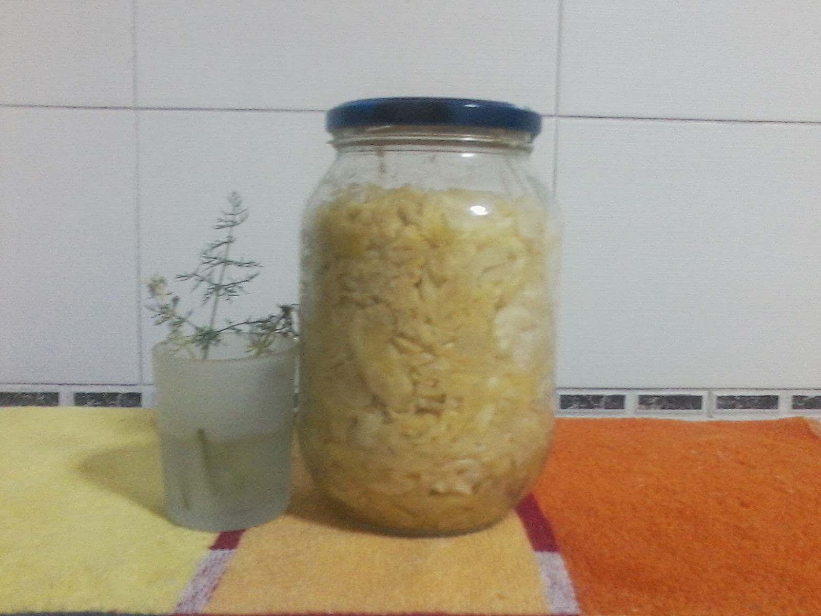 La regadera verde: Usos de la col: elaboración de chucrut (col fermentada)