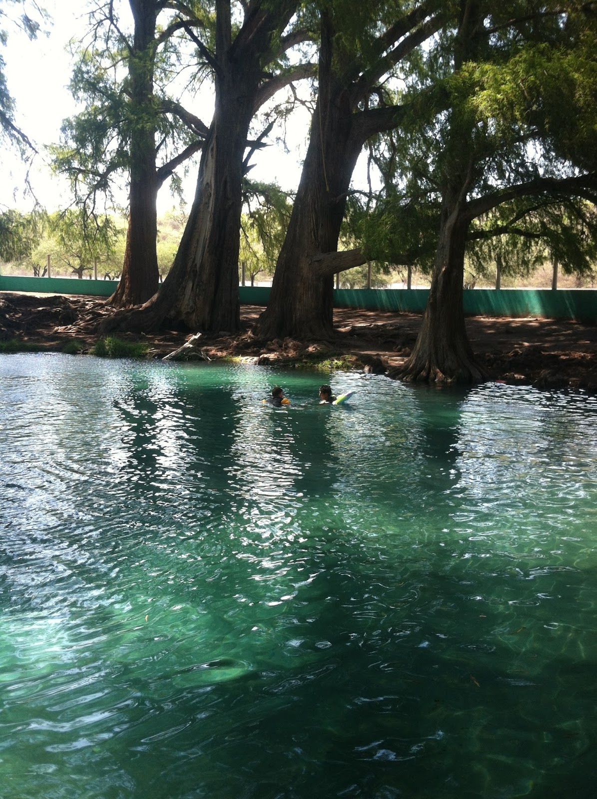 The Wakefields in Mexico: Los Ahuehuetes - Summer