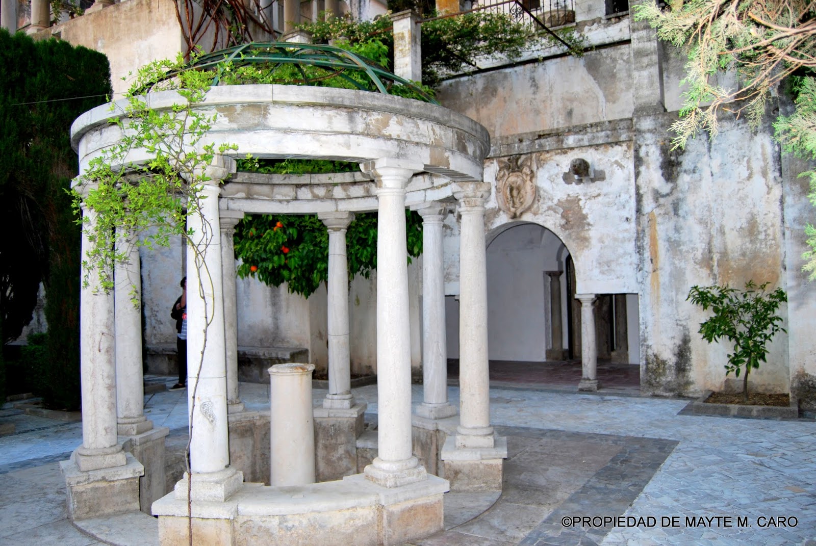FUENTES EN GRANADA: El encanto de dar un paseo por la Fundación ...