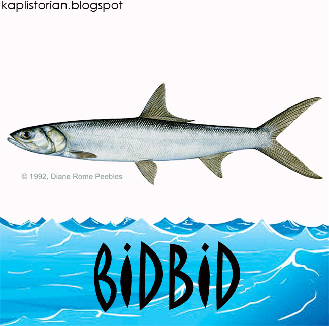 The Kapampangan Listorian: 89. 16 FISH NAMES IN KAPAMPANGAN