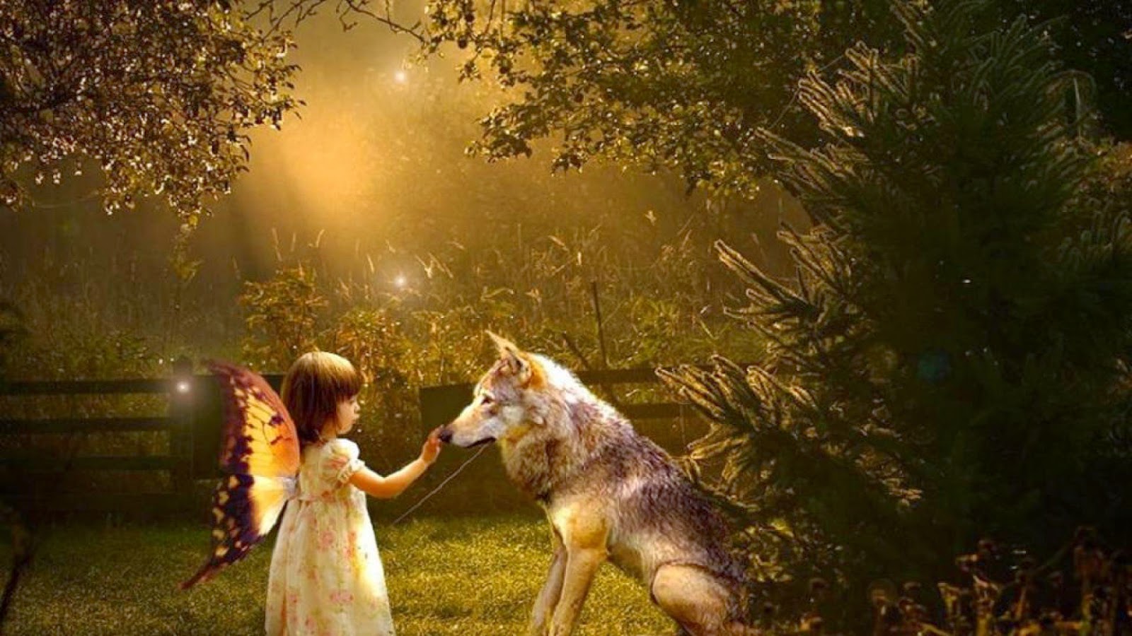White Wolf : Heartwarming Photos Of Children Playing With Wolves