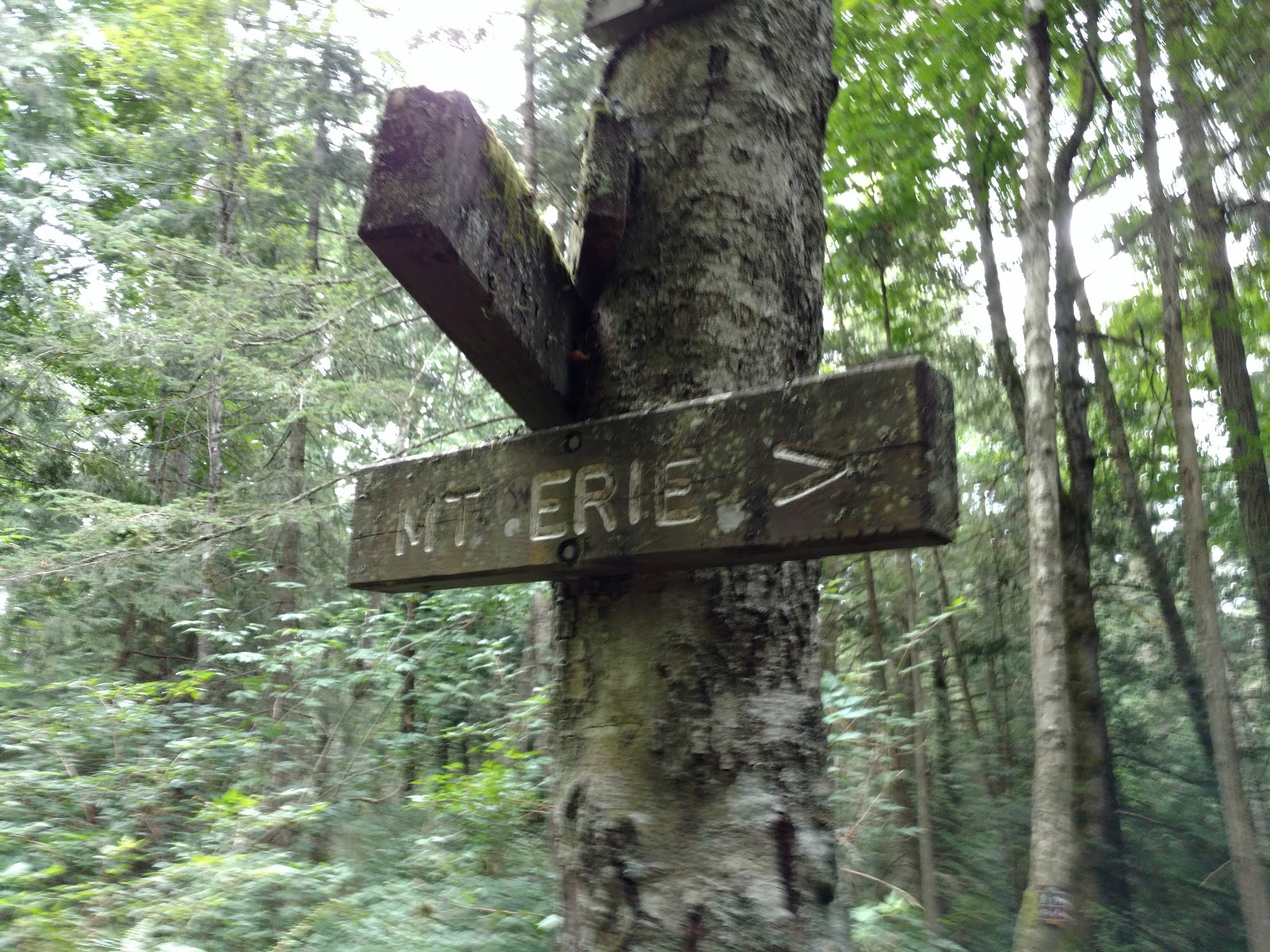 My View of the Honeypot: Trek for Treasure Hike #4- Mt Erie