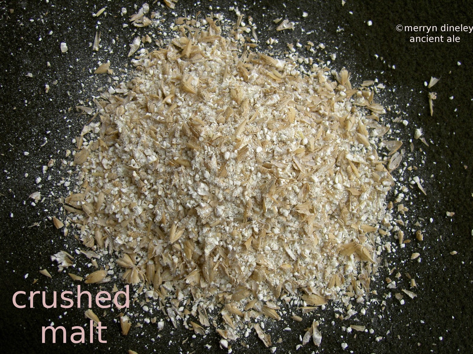 ancient malt and ale : malting and mashing