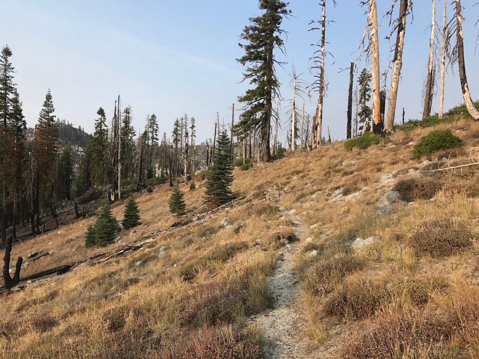 The Siskiyou Crest : Mixed Severity Fire in the Marble Mountains. Hot ...