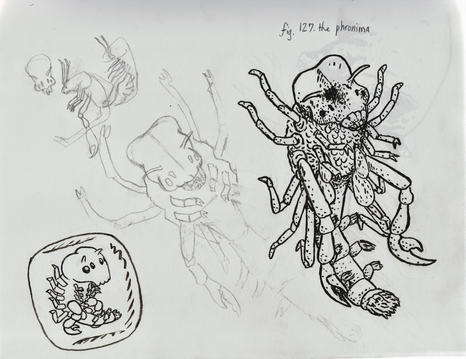 Jun Makes Stuff: #179 The Phronima