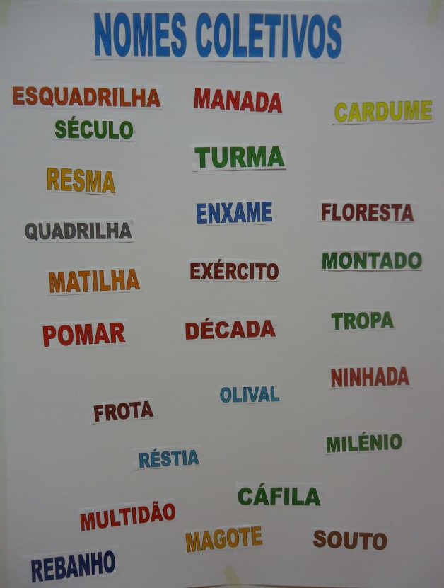 Carinhas Larocas: SUBCLASSES DO NOME - comuns, próprios e comuns coletivos