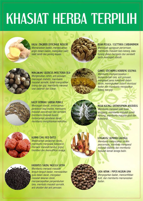 Maria Firdz | Lifestyle Blogger