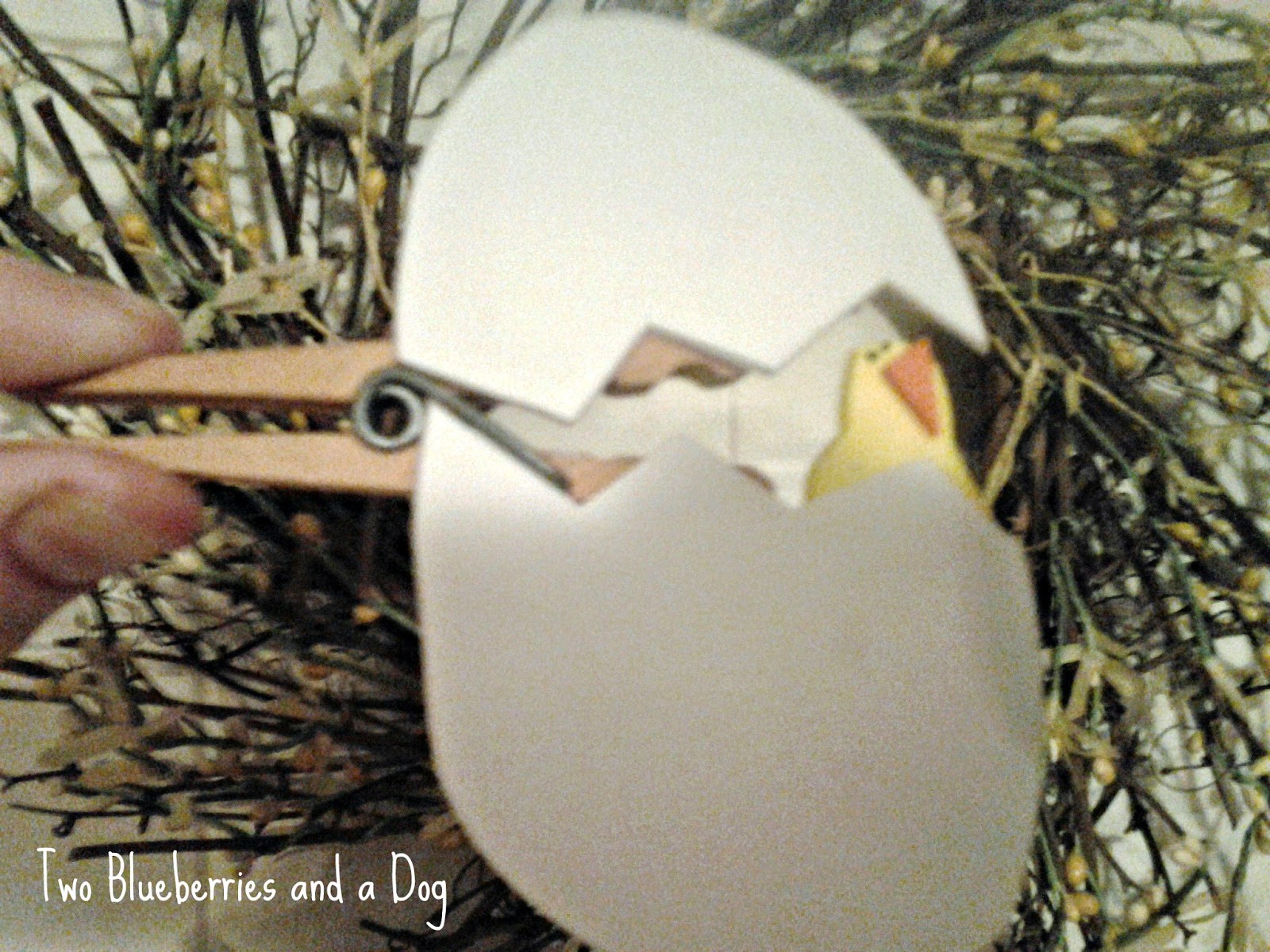 Two Blueberries and a Dog: Hatching Chicks!