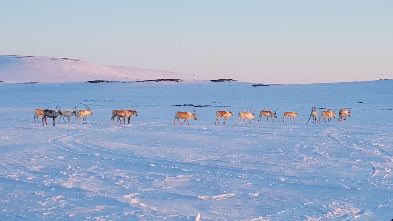 Nuorgam, Finland: The village of happy people