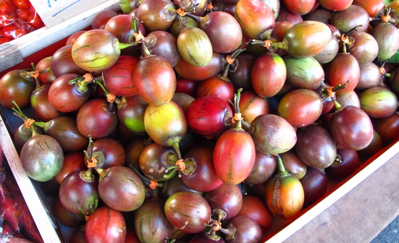 INTAN FAZNITA HAJI SAMUDI: BUAH CINTA