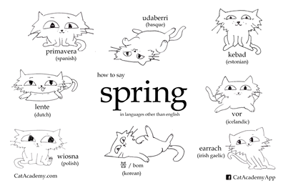 Learn English and Spanish - Aprende Inglés y Español: Spring is Coming ...