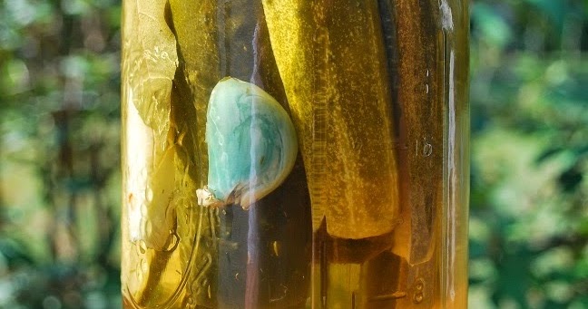 Just the Right Size: Why Does My Garlic Turn Blue?