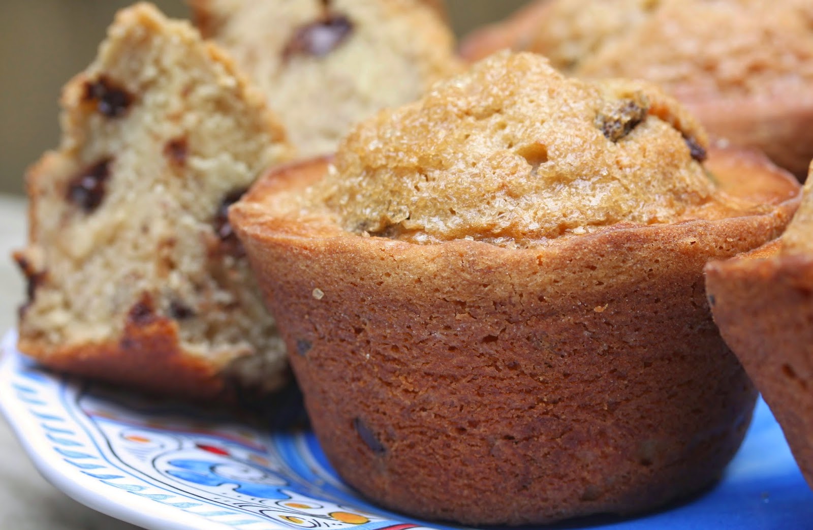 Best of Long Island and Central Florida: Chocolate Chip Banana Bread ...