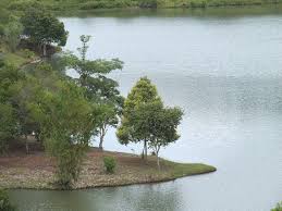 WISATA ALAM : DANAU PICUNG