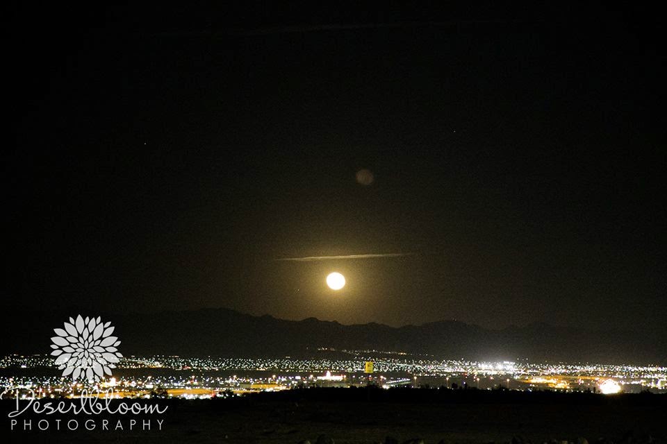 Desertbloom Photography