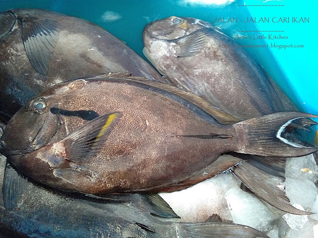 Jom Makan Ikan Segar - Amie's Little Kitchen